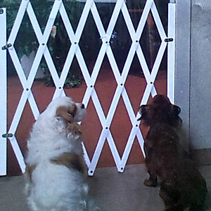 Folding Fence Pet Isolation Gate Expanding Fence Outdoor Indoor, 41x100cm/16.14x39.37inch