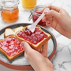 Mini Ice Cream Dessert Taster Spoons Multi Colors Disposable Plastic Tasting Spoons for Ice Cream, Yogurt