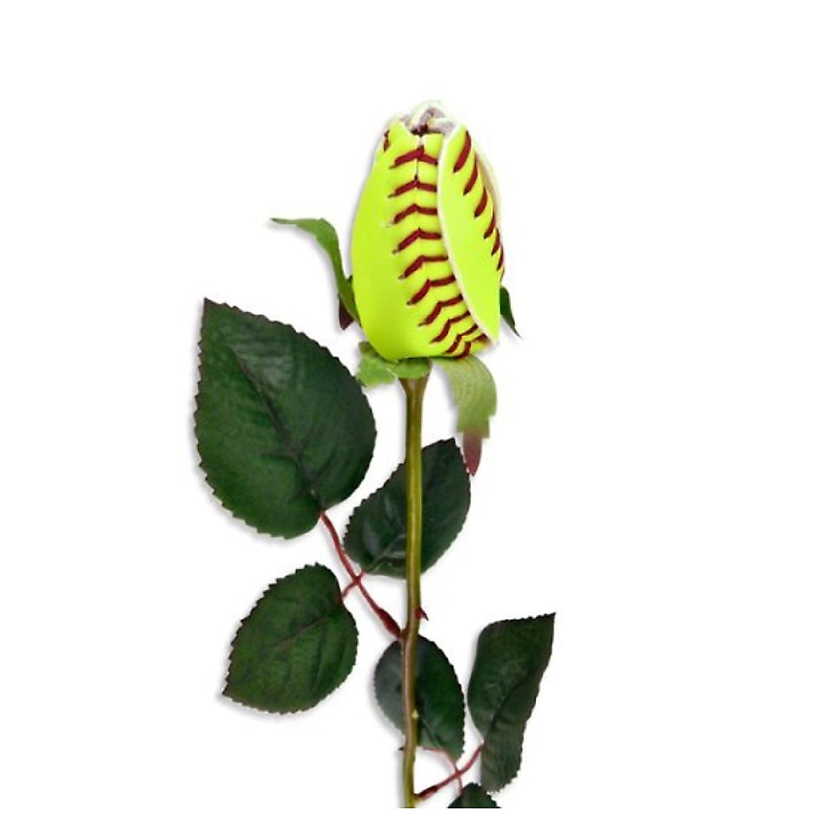 Kenz Laurenz Softball Rose - Sports Roses Flowers Softball Gifts for Girls Mom Coach Team Players Dad Fathers Day (Softball Rose)