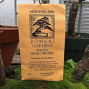 Moss Spores for Bonsai Trees - Covers Up to Three Square Feet, Bright Green Velvet Kyoto Bonsai Moss That is Weed Free, Indefinite Shelf Life