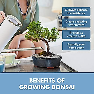 Bonsai Tree Kit - Grow 3 Mini Bonsai Trees, Indoor Plant Growing Kit - Bonsai Starter Kit with Bonsai Seeds, Soil, Planters & Shears, Gardening Gifts for Women, Fathers Day Gardening Gifts