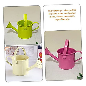 YARNOW 9 pcs Gardening Kettle Ornament metal spray bottle small indoor watering can tools mini waterer can watering cans water spray cans mister for plants simple watering pot