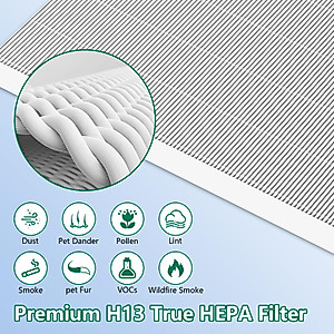 5 Pack C545 Replacement Filter Compatible with C545, Part number 1712-0096-00, Ture Post Filter S Only