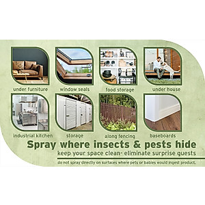 Mentha 16oz Insect and Pest Control Spray, All-Purpose Peppermint Oil Spray for Bugs, Rodents, Fleas, Ants, Roach Indoor for Home Peppermint Oil to Repel Mice and Rats White