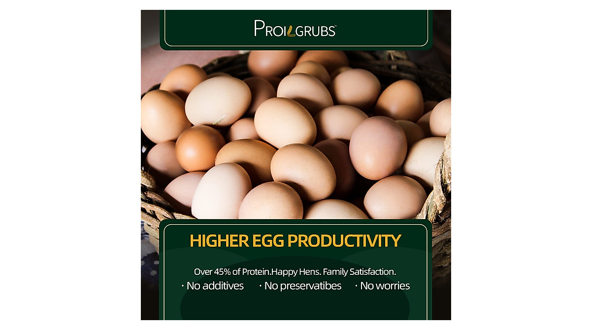 PROILGRUBS 10 lbs - Nutritious Non-GMO Dried Worms