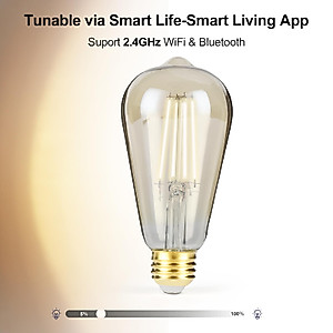 OPPLE Smart LED Filament Bulb, Smart Light Bulbs Bluetooth and WiFi Vintage Filament Light Bulb Work with Alexa & Google Home, ST19 Smart Edison Bulb 2100k 60 Watt Equivalent, No Hub Required, 4 Pack