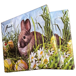 20-ct 13x13 Big Bunny Napkins Easter Napkins Easter Paper Napkins Easter Napkins for Decoupage Easter Napkins Paper Easter Cocktail Napkins Bunny Dinner Lunch Beverage Guest Napkins Disposable