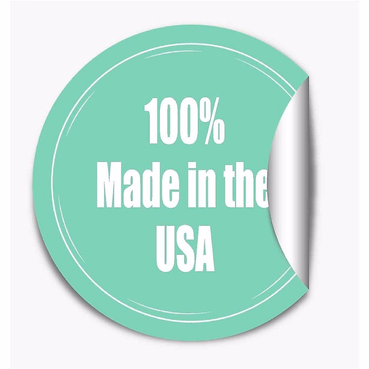 (x3) 2x3 inch Stickers | Reflective Port St. Lucie FL Florida St. Lucie County Vintage US Flag Sticker Graphic - Construction Toolbox, Hardhat, Lunchbox, Helmet, Mechanic, Luggage