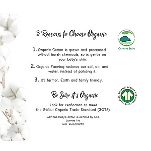 Cambria Baby 100% Organic Kimono Gowns. Side Snaps with Built in Mitts. (0-6 Months, Feathers and Forest Animals)