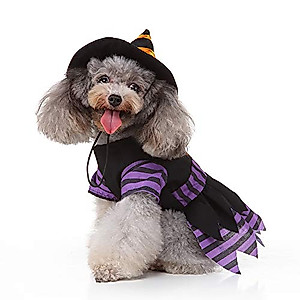 Yoption Dog Cat Witch Dress Costumes with Magic Hat, Pet Halloween Christmas Cosplay Hoodie Funny Outfits Clothes for Puppy Dogs (M)