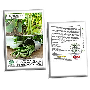 "Slenderette" Bush Bean Seeds for Planting, 50+ Heirloom Seeds Per Packet, (Isla's Garden Seeds), Non GMO Seeds, Scientific Name: Phaseolus vulgaris, Great Green Bean Variety for Home Garden