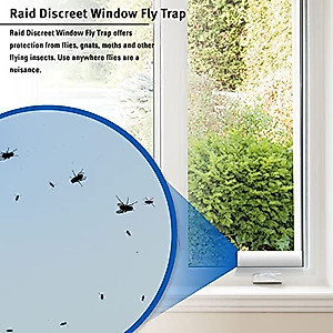 Raid, 4 Pack, Discreet Window Fly Trap
