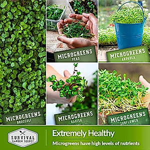 Survival Garden Seeds Microgreens 5 Pack - Instructions to Plant, Sprout, and Grow a Mix of Microgreen Plants in Your Kitchen or on Your Windowsill - Arugula, Broccoli, Radish, Pea, Sunflower Seed