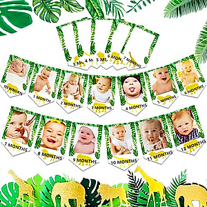 JeVenis Jungle Gold Monthly Photo Banner Wild One Monthly Photo Banner Safari First Birthday Banner Monthly Photo Banner Zoo Jungle Banner