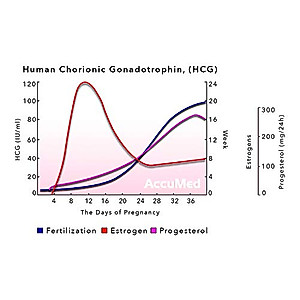 AccuMed Pregnancy Test Strips, 25-Count Individually Wrapped Pregnancy Strips, Early Home Detection Pregnancy Test Kit, Clear HCG Test