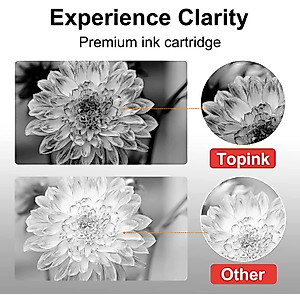 245 Ink Replacement for 245 XL Ink cartridges for Canon Printers Remanufactured Higher Yield Compatible with Canon Pixma MX490 MX492 MG2522 TS3100 TS3122 TS3300 TS3322 TS3320 TR4500 TR4520 Printer