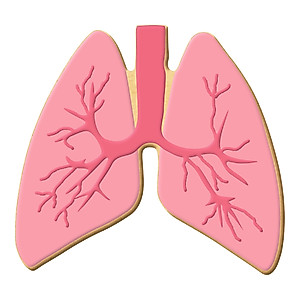 CookieCutterCom Brand Lungs Cookie Cutter 3.75 inch – 3d Printed Plastic – USA Made