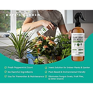Plant Spray Bottle for Insects (16oz) by Kate's Garden. Garden Plant Care Peppermint Oil Spray for Bugs. Fungus Gnat Killer for Indoor Plants & Outdoors. Insecticide for Fruit Flies, Spider Mites.