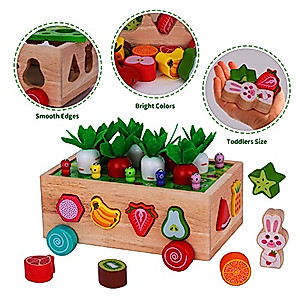 Toddlers Montessori Wooden Educational Toys for Baby Boys Girls Age 2 3 4 Year Old, Shape Sorting Toys Gifts for Kids 2-4, Wood Preschool Learning Fine Motor Skills Game