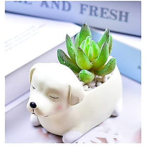 Cute Labrador Retriever Flower Pot with Drainer Garden Flower Pot Resin Succulent Potted Bonsai Plant Stand Home Desk Mini Decoration Balcony Gardening Flower Pot Does Not Contain Plants