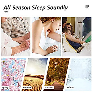 HYLEORY All Season California King Size Bed Comforter - Cooling Down Alternative Quilted Duvet Insert with Corner Tabs - Winter Warm - Machine Washable - Grey, 96 x 104 Inch