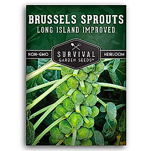 Survival Garden Seeds - Long Island Improved Brussels Sprouts for Planting - Packet with Instructions to Plant and Grow Delicious Sweet Sprouts in The Home Vegetable Garden - Non-GMO Heirloom Variety