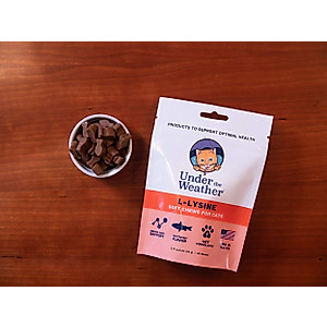 Under the Weather Pet Daily Cat L-Lysine | 60 Bite Size Soft Chews for Cats |Vet Formulated, All Natural, Amino Acid Support for Felines | Maintain Normal Immune System Response