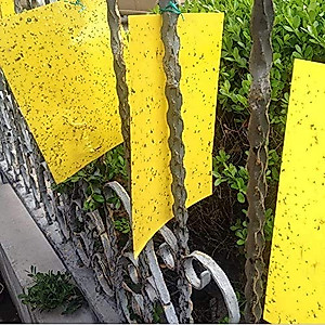 20 Count Dual Yellow Sticky Traps 8 X 6 Inch Set for Flying Plant Insect Like Fungus Gnats, Aphids, Whiteflies, Leafminers -Included 20pcs Twist Ties