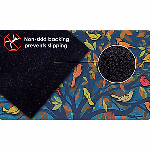 Toland Home Garden 800435 Colorful Birds Bird Door Mat 18x30 Inch Fall Outdoor Doormat for Entryway Indoor Entrance