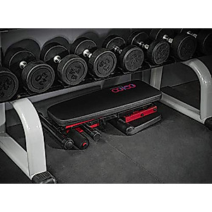 Pelpo Adjustable Weight Bench, Folding Weight Lifting Bench, Workout Bench for Home, Incline/Decline Bench for Full Body Workout, Strength Training Benches, Max Load 660lbs