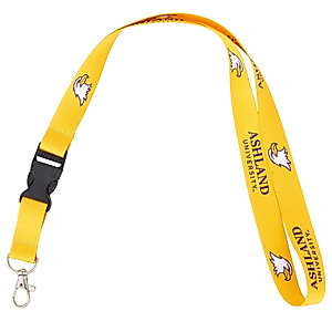 Desert Cactus Ashland University Lanyard Eagles Car Keys ID Badge Holder Keychain Detachable Breakaway Snap Buckle (Yellow)