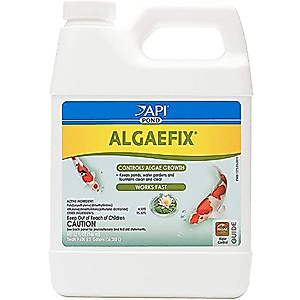 API POND ALGAEFIX Algae Control 32-Ounce Bottle, FISHAQUARI (169G)