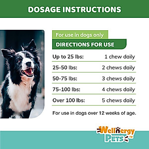 Wellnergy Natural Calming Chews for Dogs – Natural Organic Supplement- for Dogs with Stress, Separation Anxiety and Hyperactivity - 40ct Travel Pk