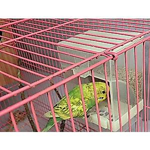 Spill-Proof No-Mess Pet Bird Feeder Parrot Automatic Feeder Seed Food Container Perch Cage Accessories for Budgerigar Canary Cockatiel Finch Parakeet Green Cheek Conures Parrotlets