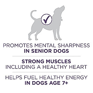 Purina ONE High Protein Dry Senior Dog Food Plus Vibrant Maturity Adult 7 Plus Formula - 16.5 lb. Bag