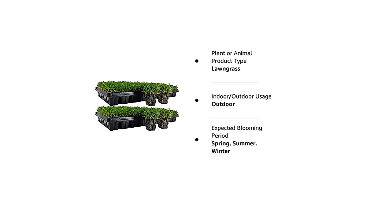 Buy Zoysia Plugs - Drought Tolerant, Low Maintenance Lawn Solution