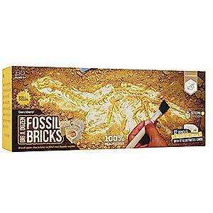 Dig a Dozen Fossil Bricks - Break Open 12 Bricks and Discover 12 Unique Real Fossils - Archaeology Science STEM Gift