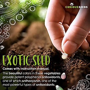 Exotic Vegetable Seeds Variety Pack - 6 Curious Garden Varieties to Grow, Non GMO, Open Pollinated, Heirloom, and Untreated for Planting, Unique Gardening Gift for Indoors and Outdoors