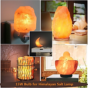 Wax Warmer Bulb - 15 Pack - Salt Lamp Bulbs- 15 Watt Light Bulbs for Scentsy Wax Warmer - Warm White - C7 Replacement Bulbs for Plug in Wax Diffuser,Candle Warmer & Himalayan Salt Lamp,Dimmable