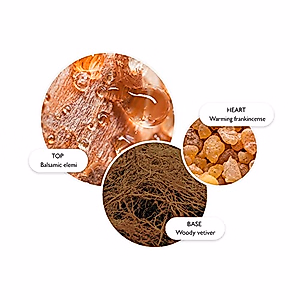 Molton Brown Festive Frankincense & Allspice Fine Liquid Hand Wash 10 fl. oz.