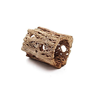 3, 6, 9, 12 Inch All Natural Teddy Bear Cholla Wood Extra Hollow Untreated Organic Aquarium Driftwood Decoration Chew Toy Shrimp Crab Pleco Cichlid Nano Tank Birds 1 or 5 Pieces (1 Piece, 3 inch)