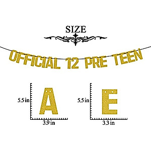 Official 12 Pre Teen Banner, Boy/girl 12th Birthday Banner, Cheers to 12 Years Banner, 12 Years Loved Blessed Decorations Banner, Happy 12th Birthday Anniversary Party Decoration Supplies Gold Glitter