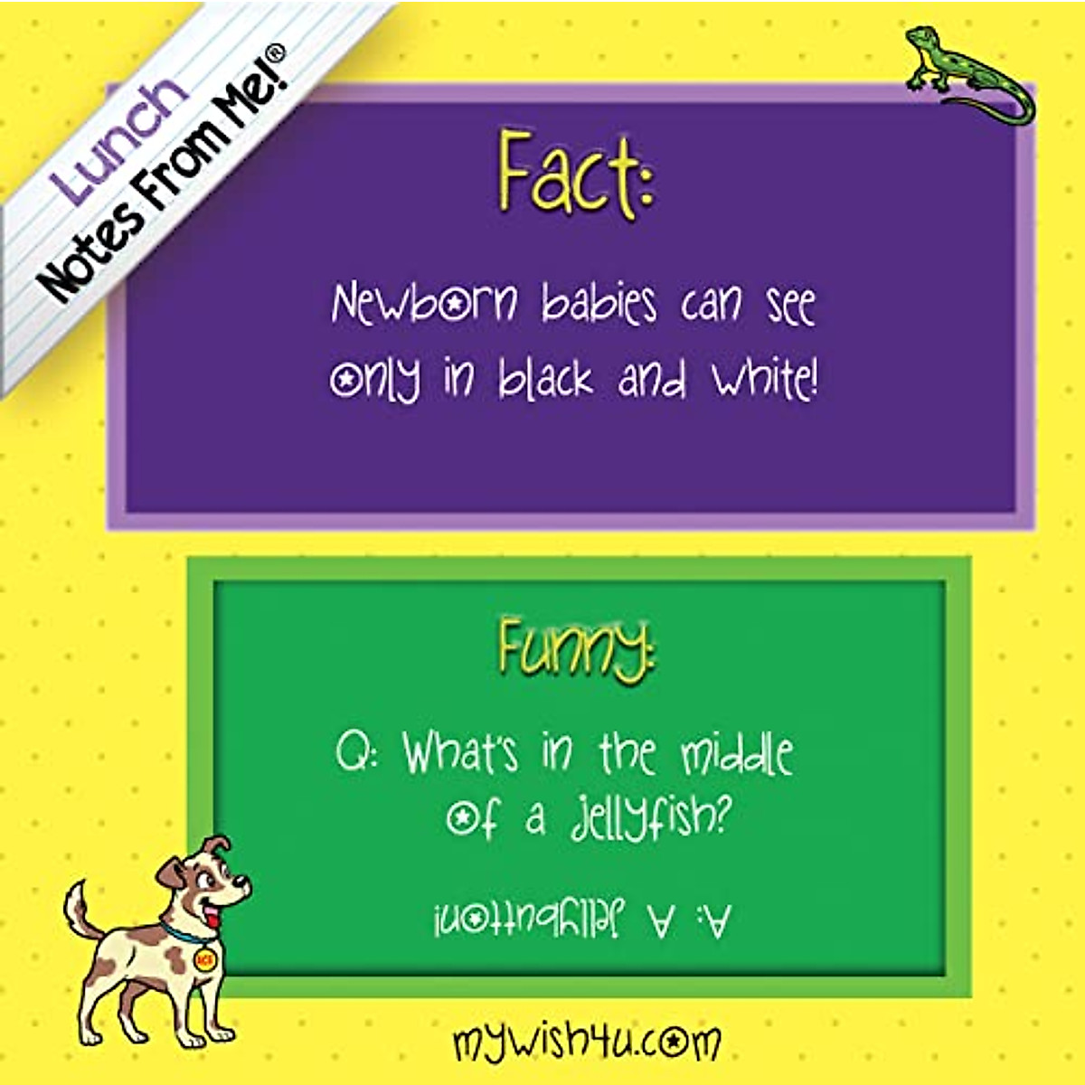 Notes From Me! Lunch Box Notes for Kids - Lunch Facts & Funnies - 101 tear-off Lunchbox Notes for Kids that Make Lunch Fun & Educational, Bored Kids Activities, Summer Camp, Back to School Essentials