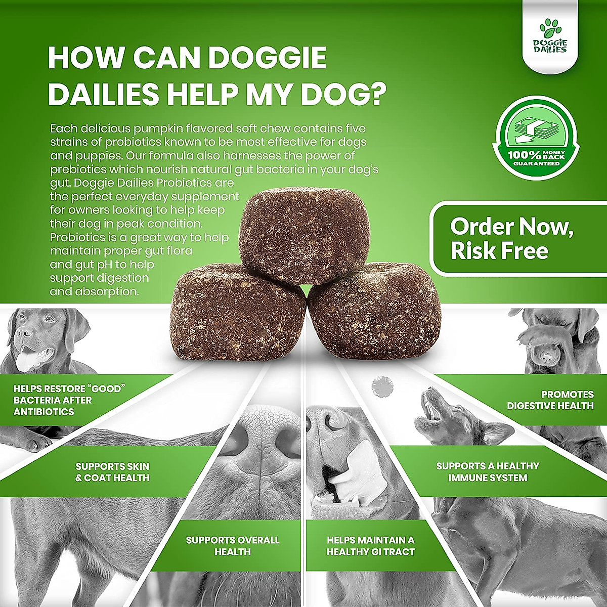Doggie Dailies Bundle - Probiotics & Bladder Support Soft Chews
