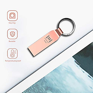 MOSDART 64GB Metal USB 2.0 Flash Drive 2 Pack exFAT Thumb Drive with Keychain 64 GB Waterproof Jump Drive 64G Memory Stick for Data Storage and Backup, Rose Gold