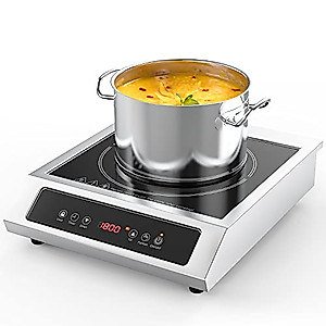 Portable Induction Cooktop, Countertop Burner Induction Hot Plate Electric for Cooking 1800W *2