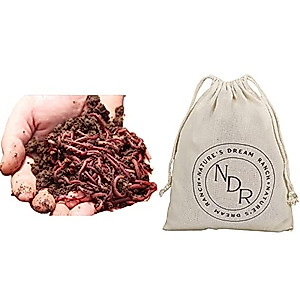 Nature's Dream Ranch 250 ct Live Red Wiggler Composting Worms Vermicomposting Garden Red Wrigglers, Farm Composting, Pet Feed, Kid Experiment
