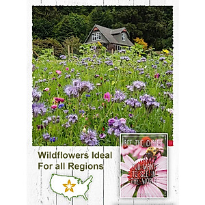 American Meadows Wildflower Seed Packets ''Bee The Change'' Party Favors (Pack of 20) - Pollinator Wildflower Seed Mix to Attract Hummingbirds, Bees, and Butterflies, Party Favor for Any Occasion