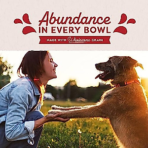 Natural Balance Ultra Premium Wet Dog Food, Beef Formula with Potatoes, Carrots & Brown Rice, 13 Ounce Can (Pack of 12)