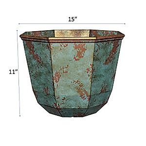 Classic Home and Garden 9010D-379R Premiere Collection Planter, Rosie 10", Northern Lights